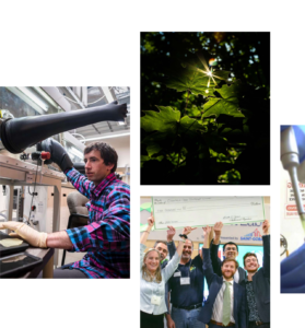 About Us - Verde technologies